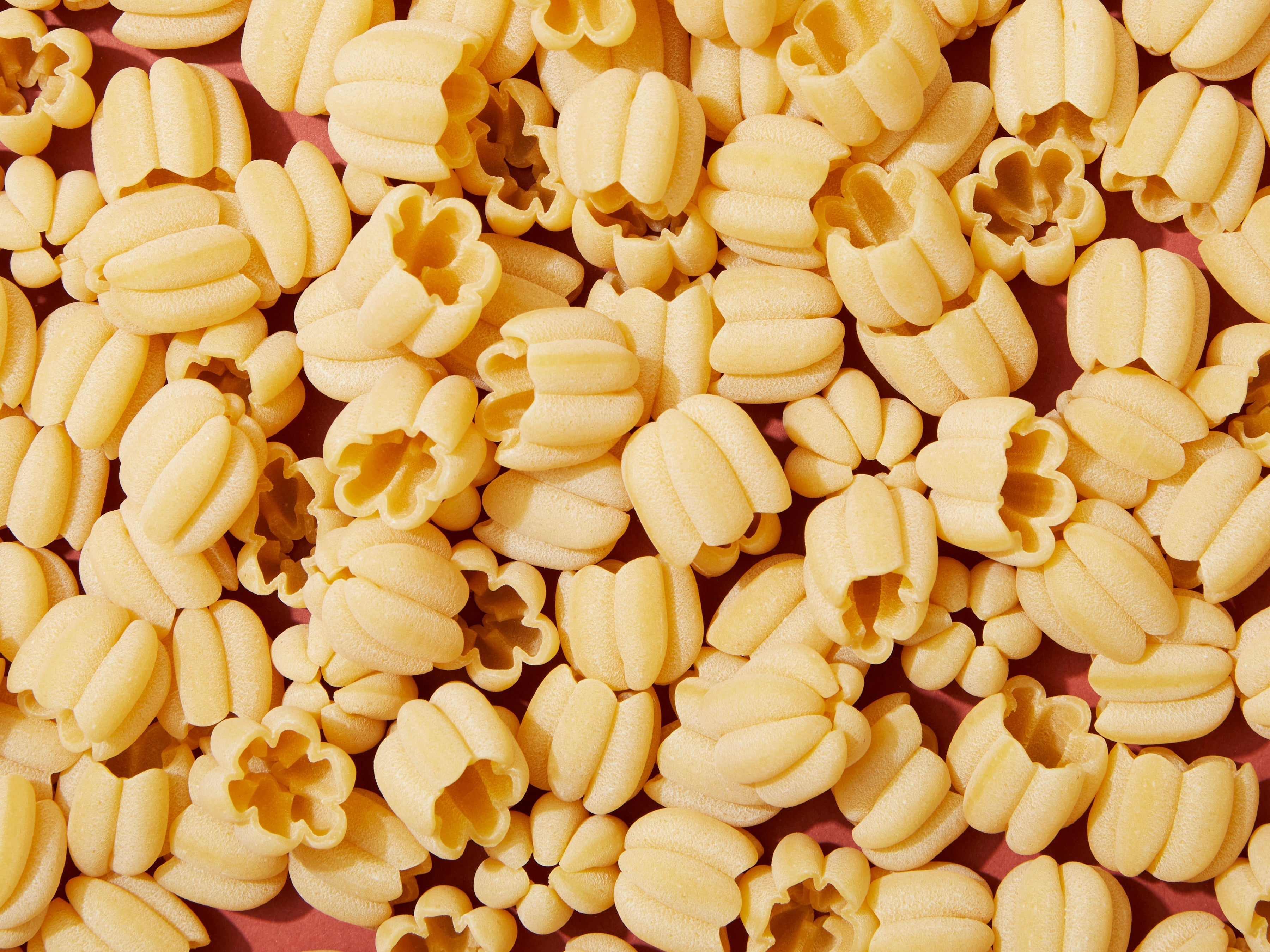 9-Course Spiel: Steve Gonzalez of Sfoglini – Jacobsen Salt Co.